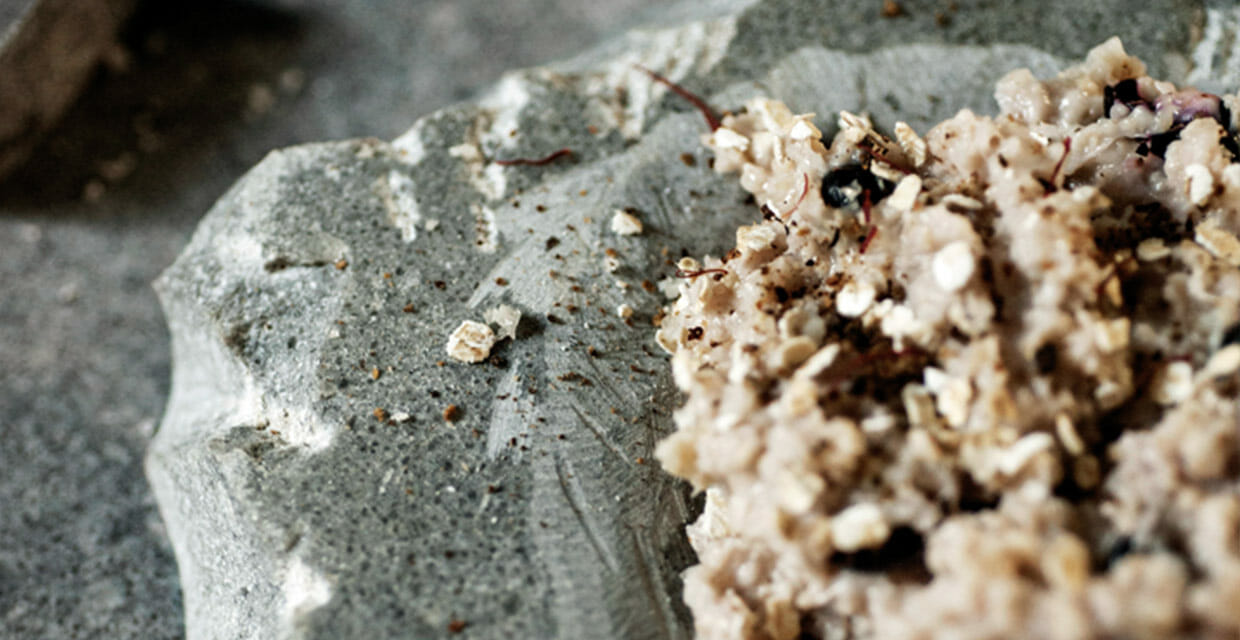 The 2019 Caesarstone® trend book | Caesarstone Australia